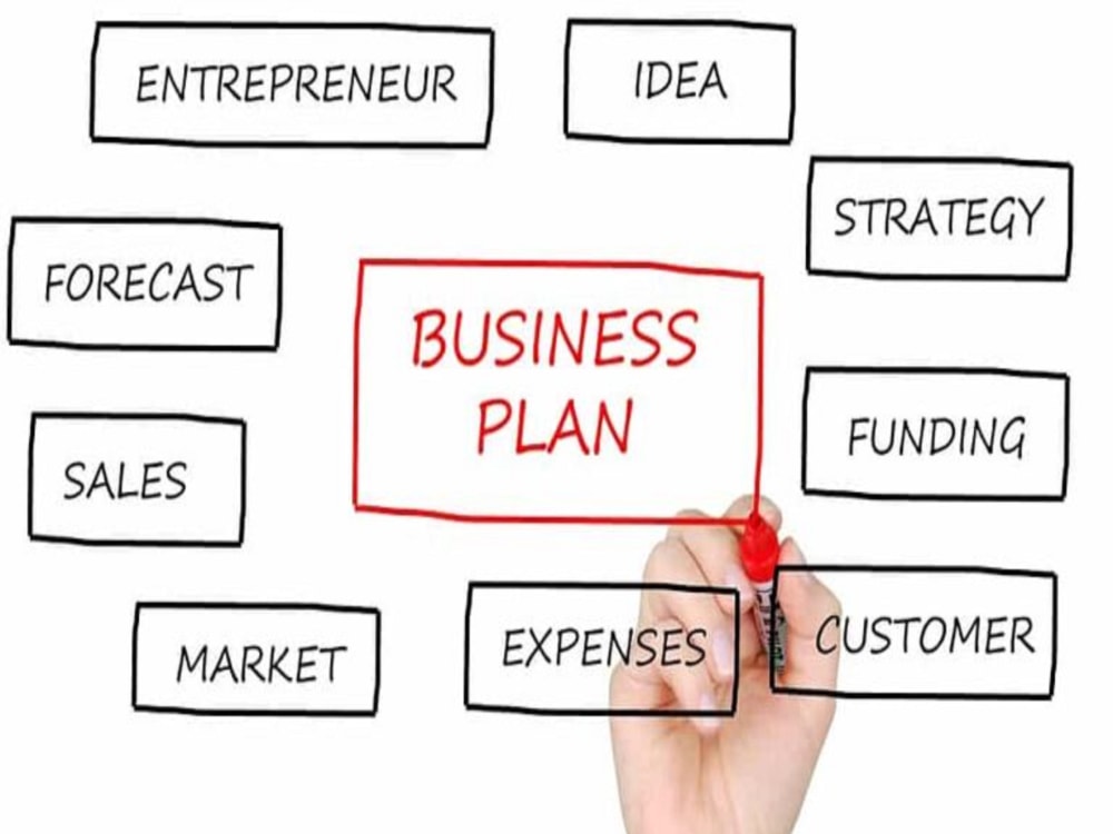 Comprehensive Investor Ready Business Plan, with financial forecasts ...