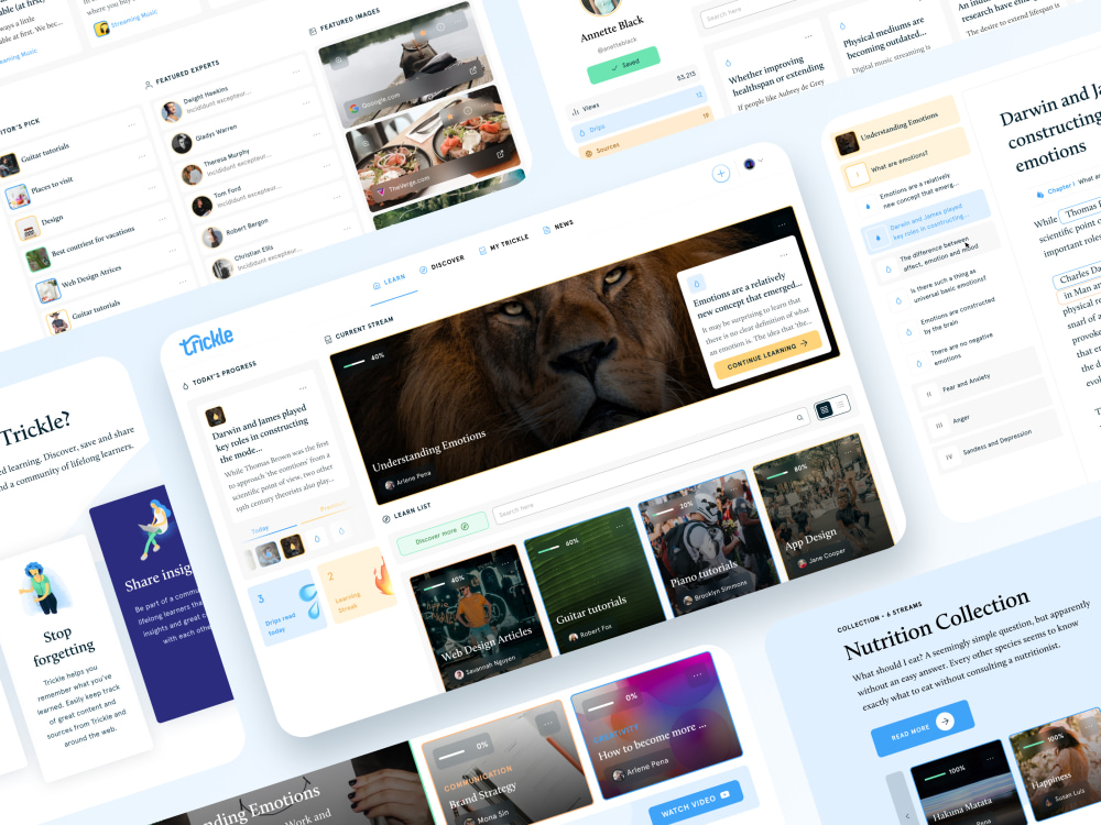 Best in class UX/UI, Mobile & Web App for your product | Upwork