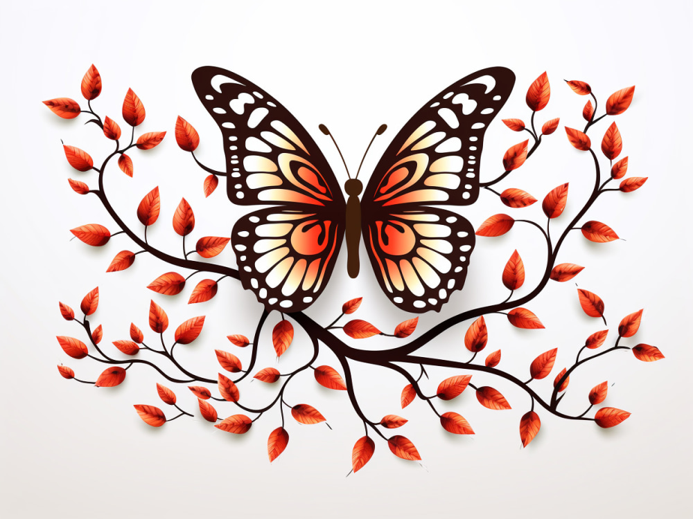 Wonderful butterfly images for your project. | Upwork