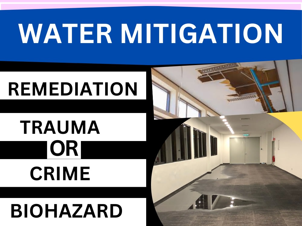 Any water mitigation, remediation, trauma or crime, and biohazard, | Upwork