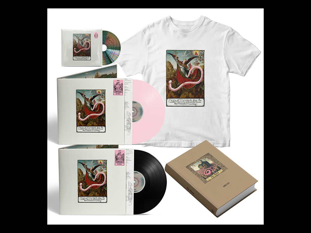 Album cover visuals with graphic design | Upwork