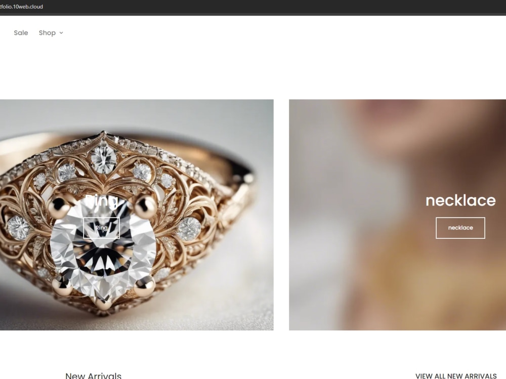 A Fully Fledged E-commerce Website | Upwork