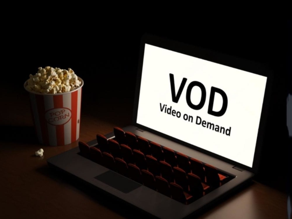 A Turn-Key IPTV Business with interactive website/E-commerce, portal ...