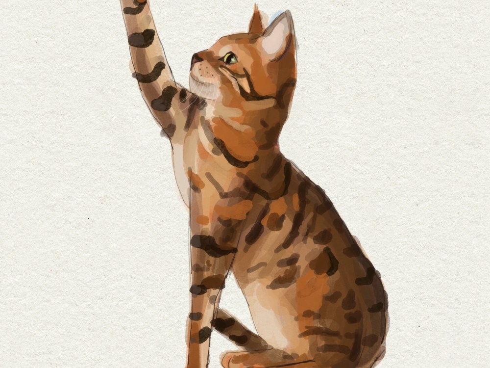 An appealing illustration of your pet | Upwork