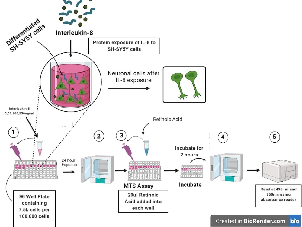 Medical / Biology-related Diagrams and Illustrations on biorender | Upwork