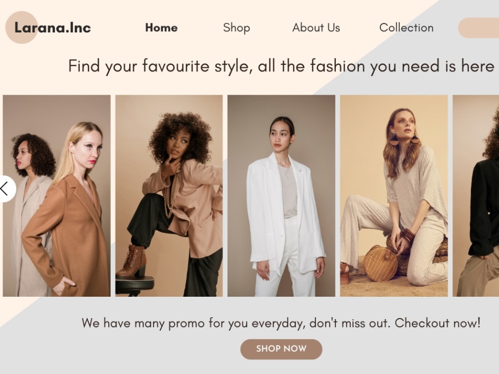 Shopify Store Designer, Shopify Expert, Dropshipping, Shopify Custom ...