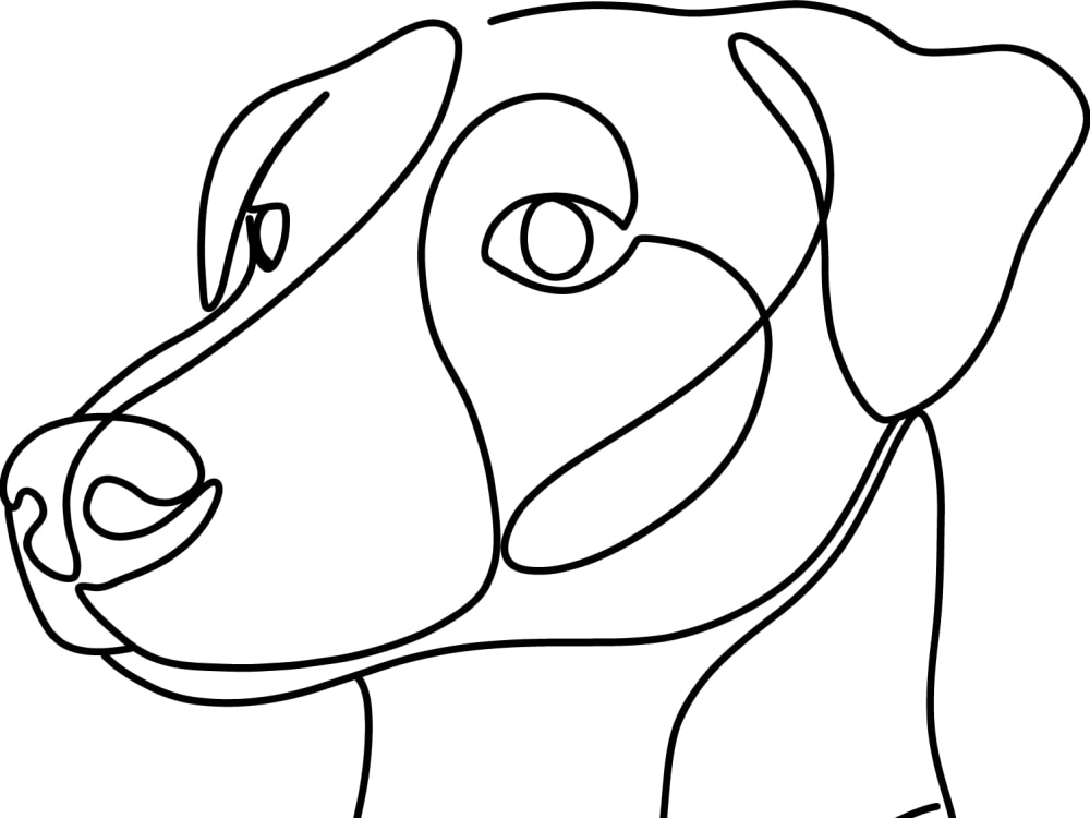 Perfect line drawings/ continuous one line illustrations | Upwork