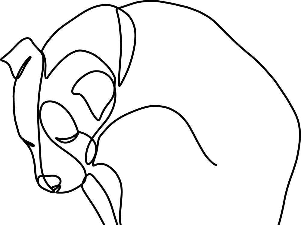 Perfect line drawings/ continuous one line illustrations | Upwork