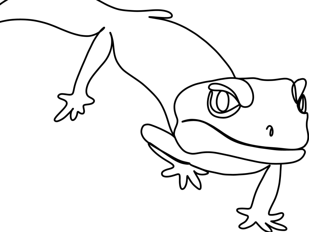 Perfect line drawings/ continuous one line illustrations | Upwork