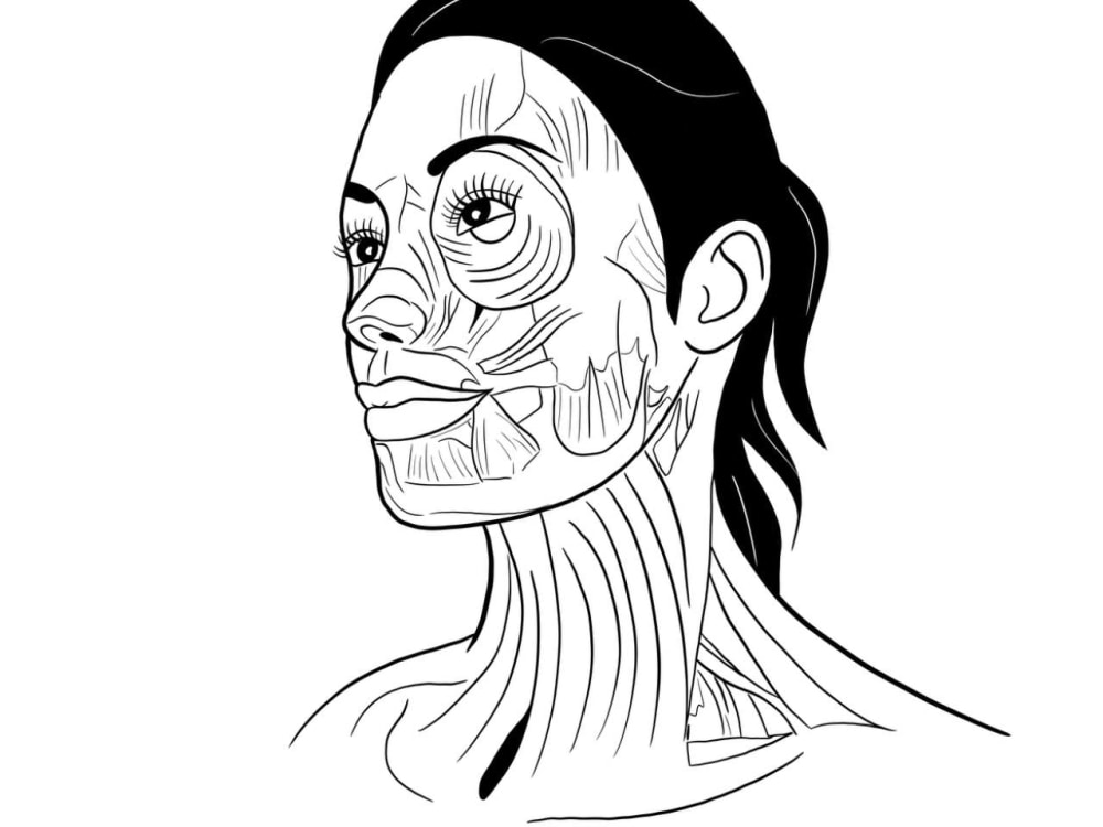 Perfect line drawings/ continuous one line illustrations | Upwork