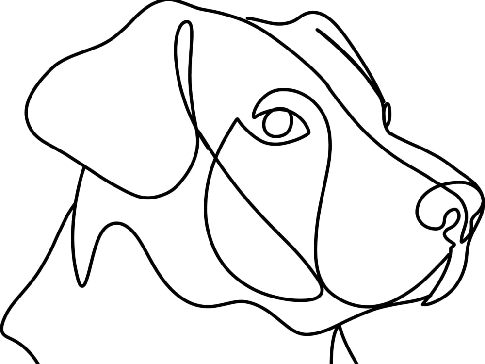 Perfect line drawings/ continuous one line illustrations | Upwork