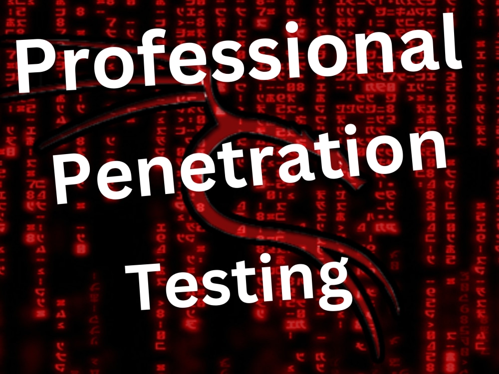 Professional Penetration Testing Following Owasp Top 10 Upwork