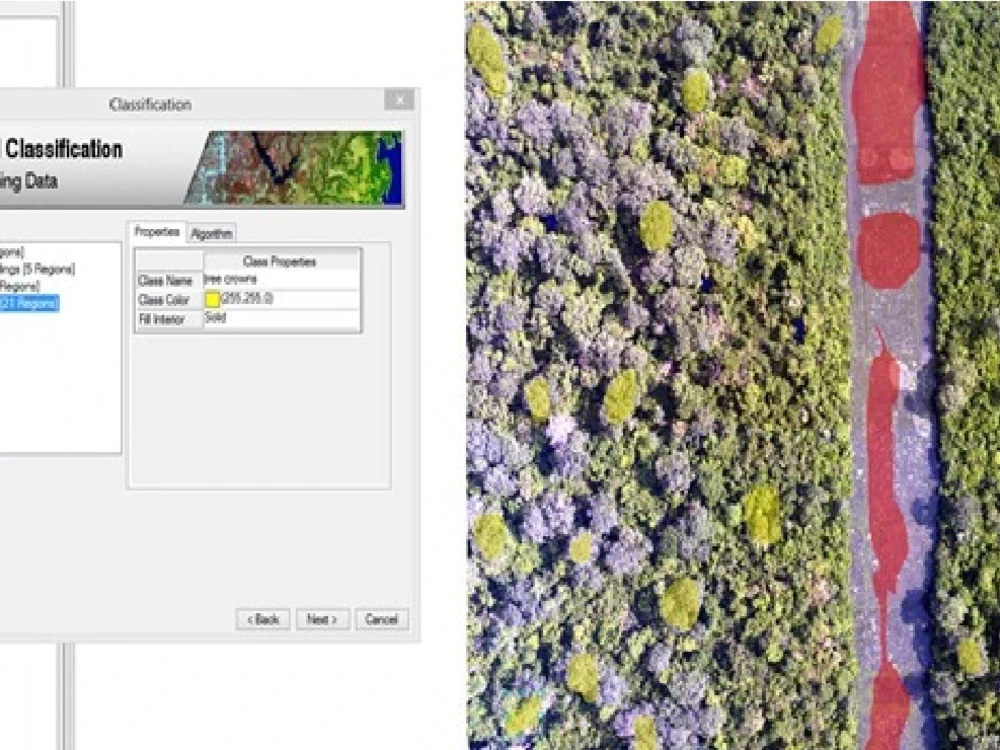 GIS Maps, shape files and vector data with attributes | Upwork
