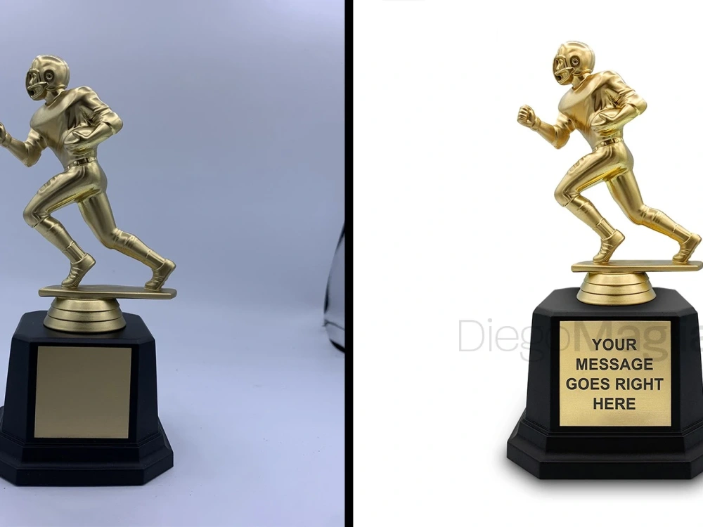 A clipped picture (without background) in less than 24 hours | Upwork