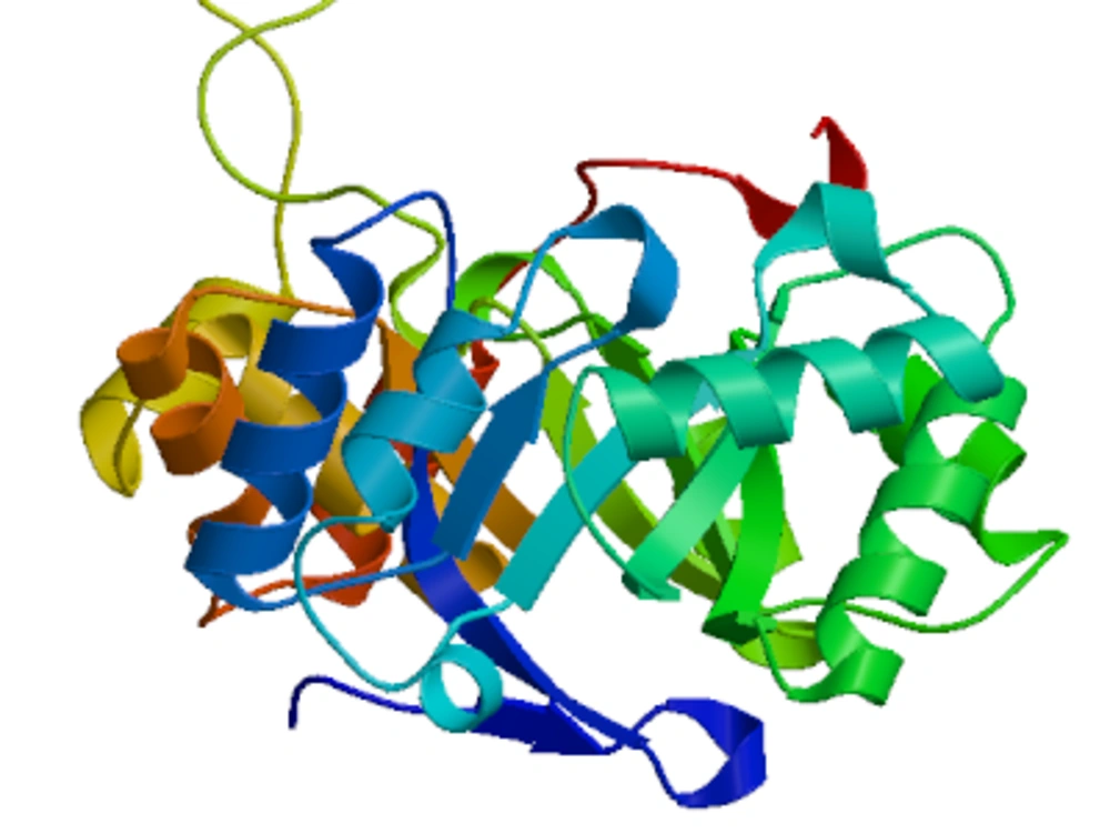 Complete Analysis of MD Simulation in less than 7 Days. | Upwork