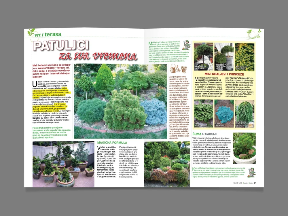 Your magazine layout design! Great design for $ 3, $ 4 or $ 5 per page ...