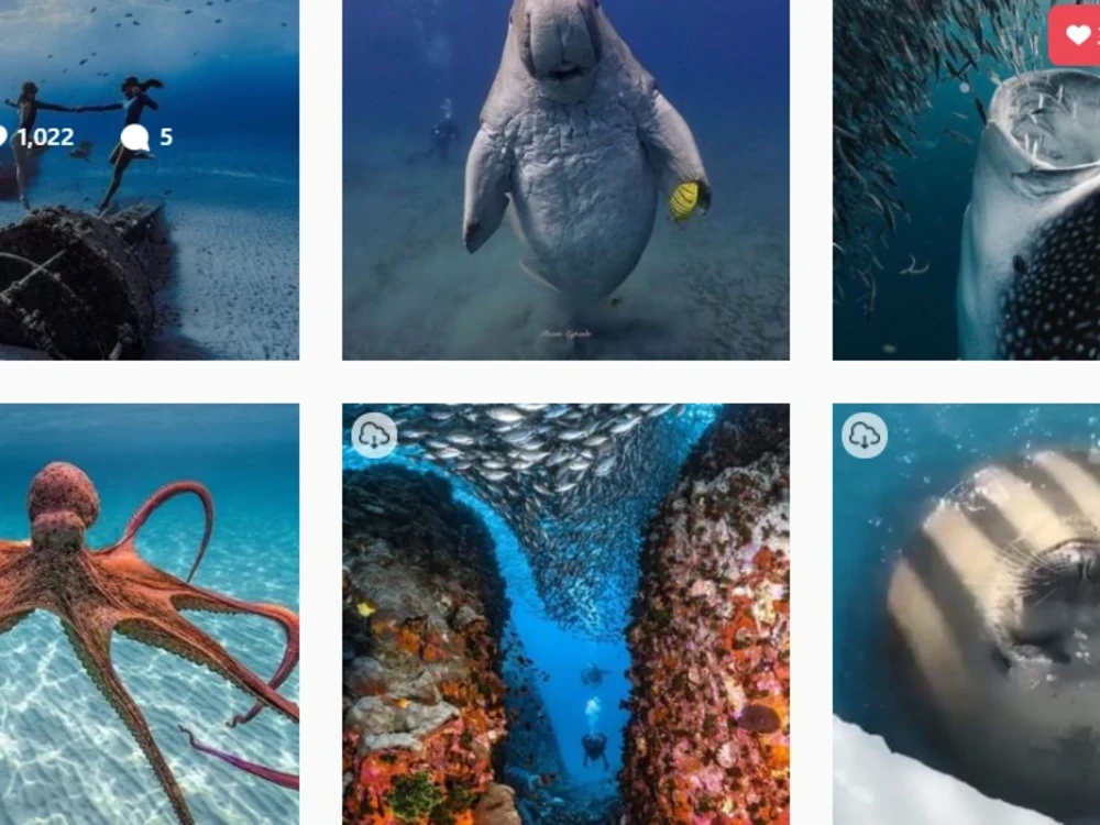 14 curated contents with proper hashtags and credit for your IG | Upwork