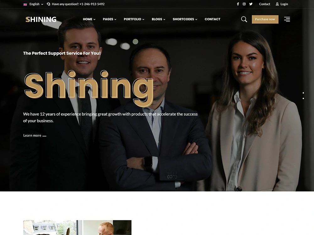 A unique and versatile Web interface template for easy project start-up ...