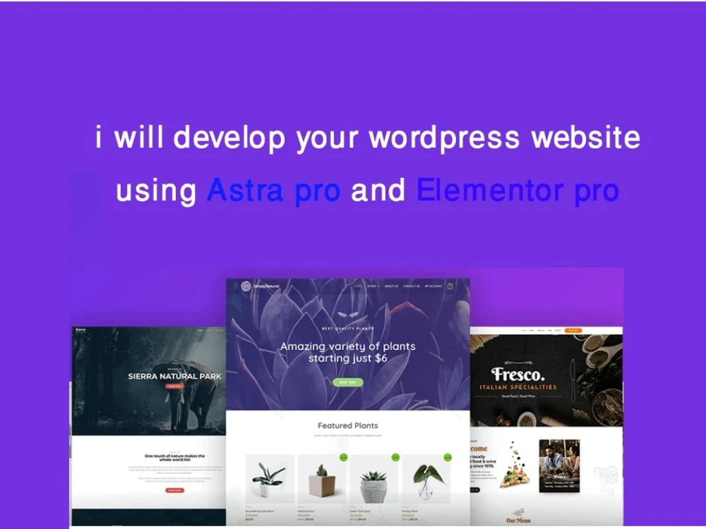 Your modern website within a 24 hours. | Upwork