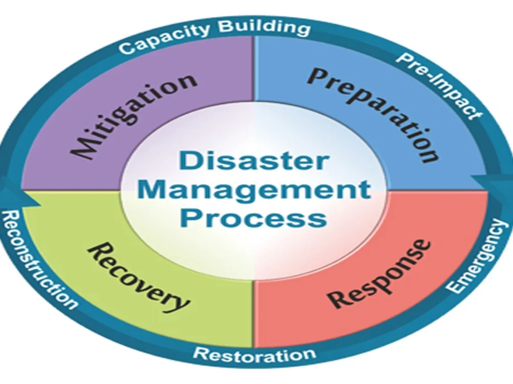Write on Disaster Management, Disaster Recovery and Risk Assessment ...