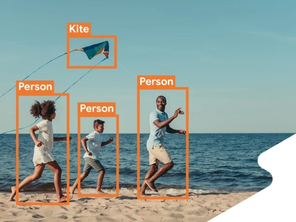 An accurate Object Detection Model | Upwork