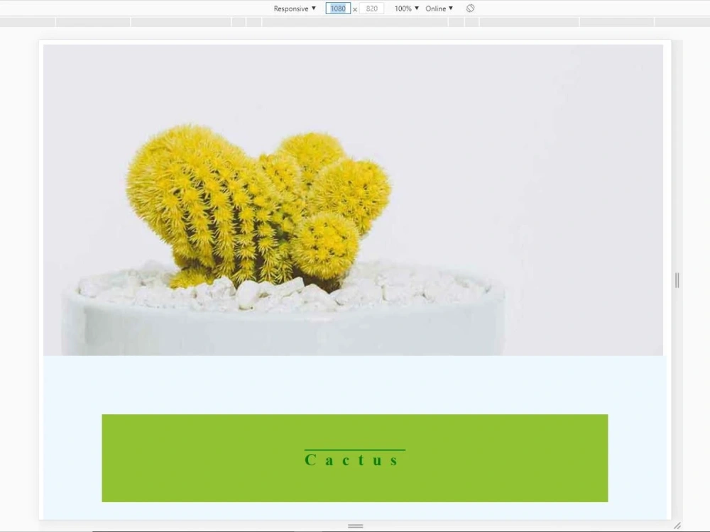 Cactus (Template) prototype of layout for design décor | Upwork