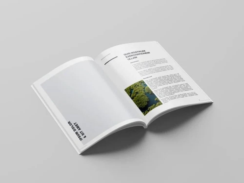 A modern and nice brochure design | Upwork