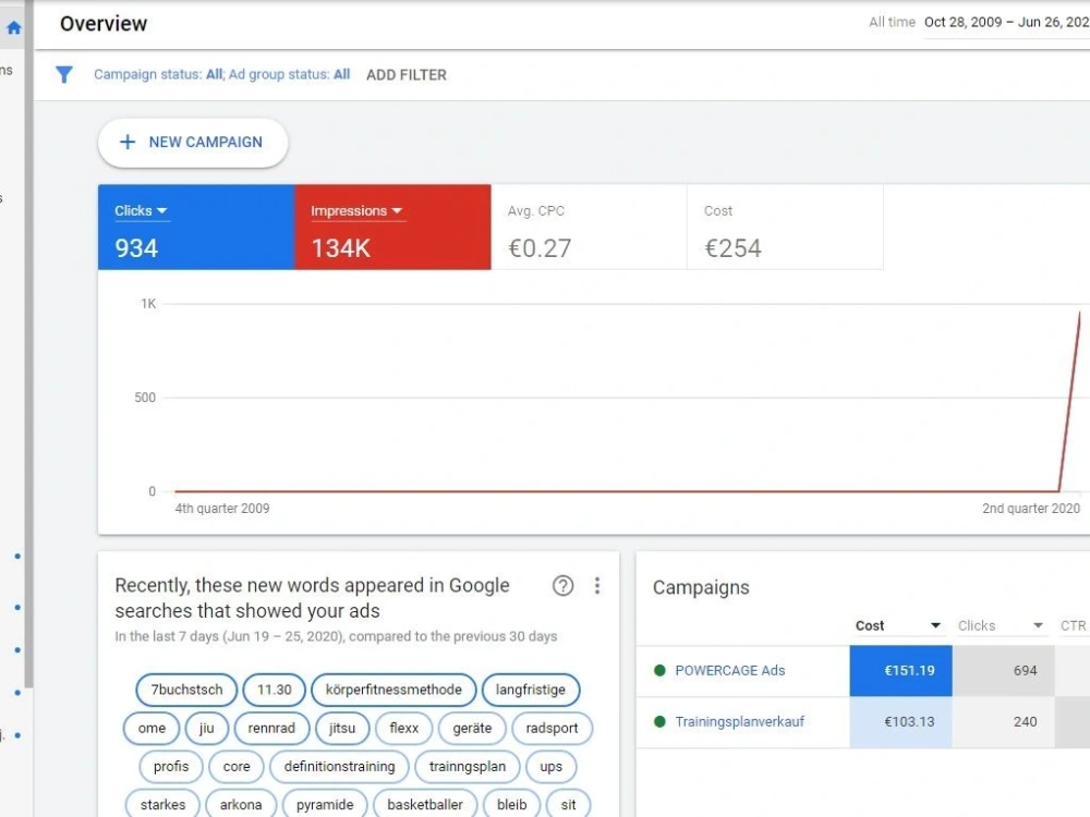 Google AdWords campaign setup optimized and fully management | Upwork