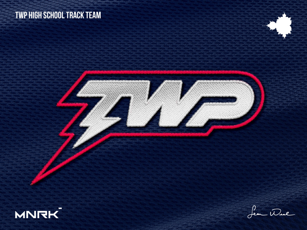 A Professinal Logo Design that you and your potential clients will love ...