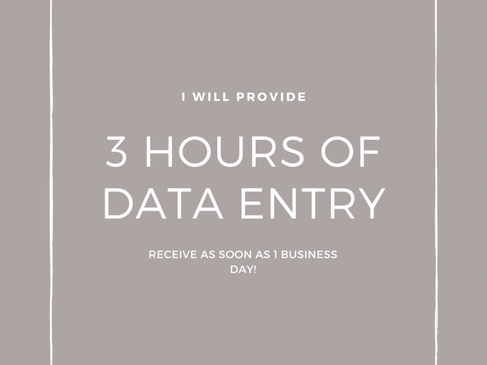 3 hours of Data Entry Work | Upwork