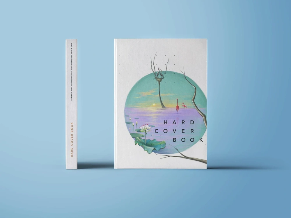 Original illustration for your Book/CD cover | Upwork