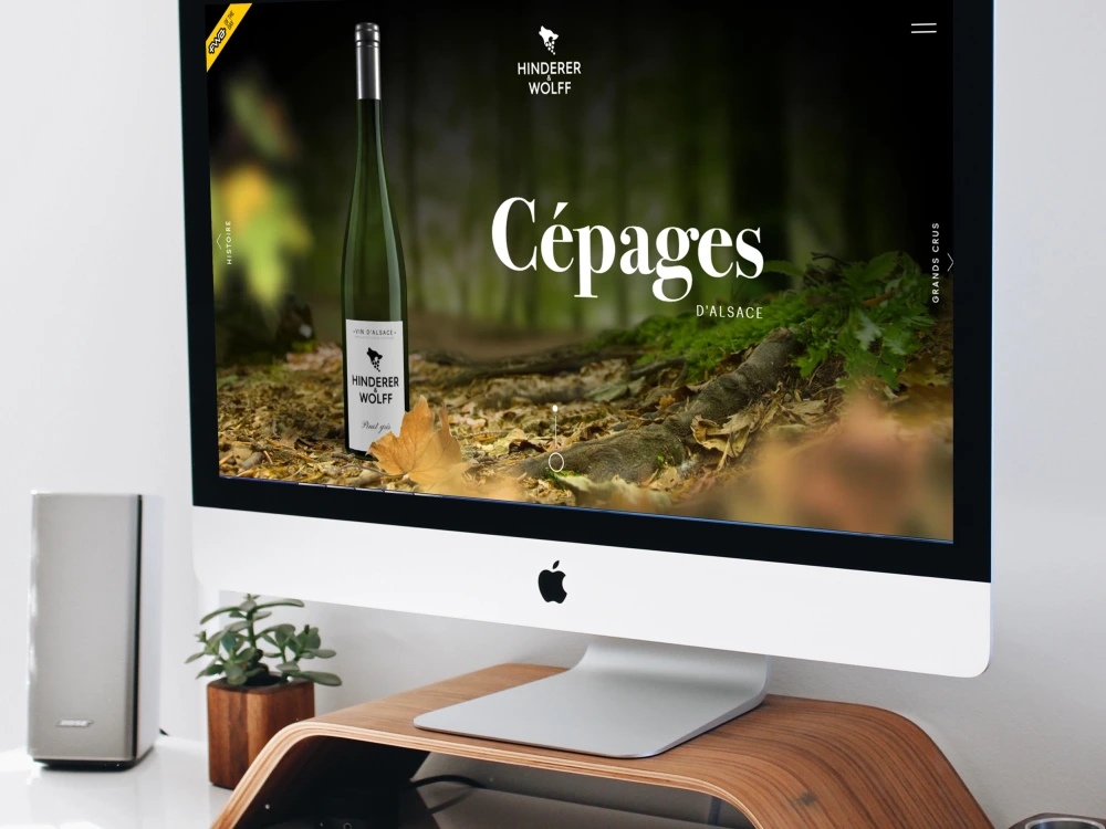 An animated website designs | Upwork