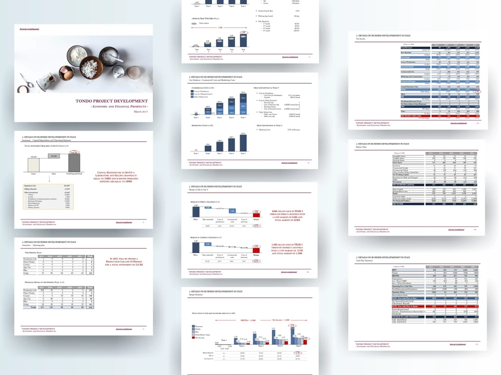 A tailor-made and professional Financial Model | Upwork