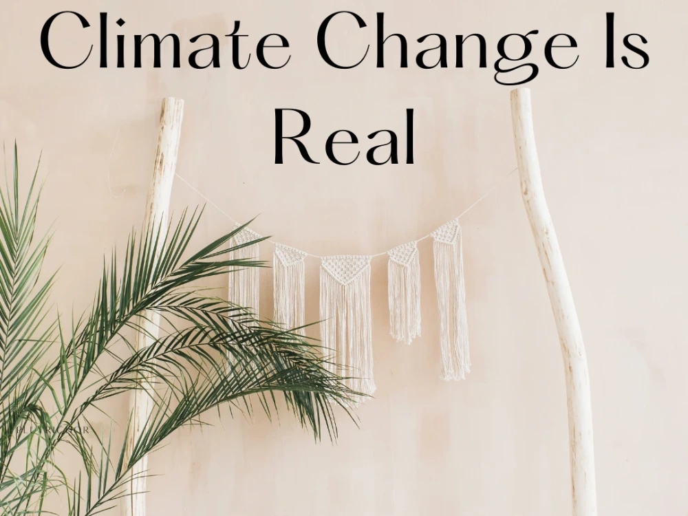 10 environmental sustainability related social media content posts | Upwork