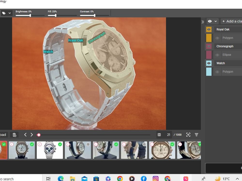Precise Data Annotation, Tagging & Segmentation for your AI model | Upwork