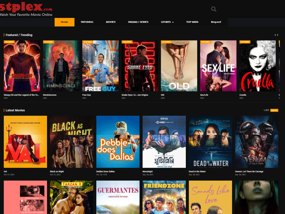 Custom streaming website for passive income | Upwork