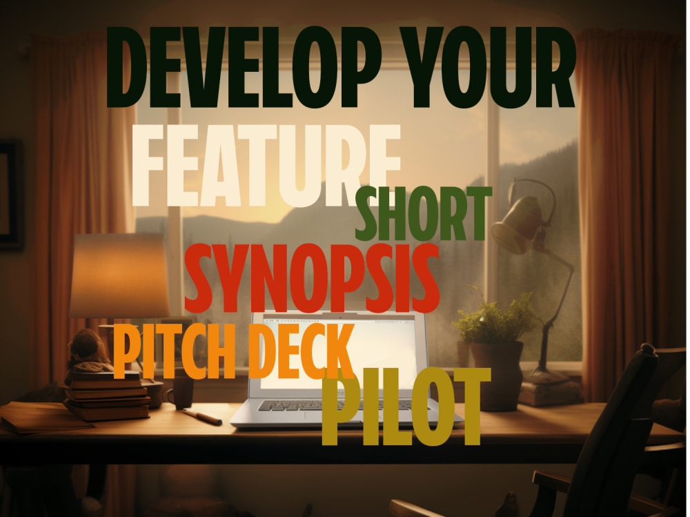 Help developing your screenplay so it is ready to pitch | Upwork