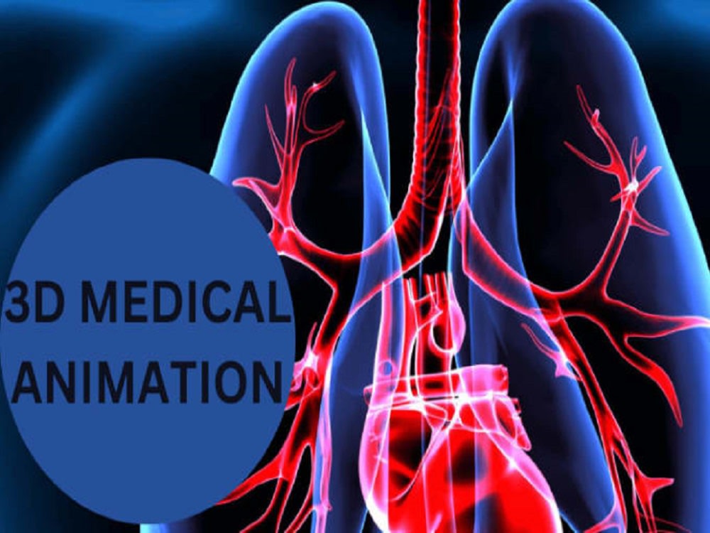 Your 3d medical anatomy scientific biomedical illustration or animation ...