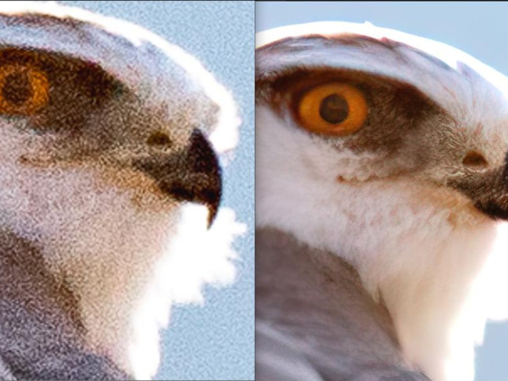 Stunningly upscaled images with precision and details | Upwork