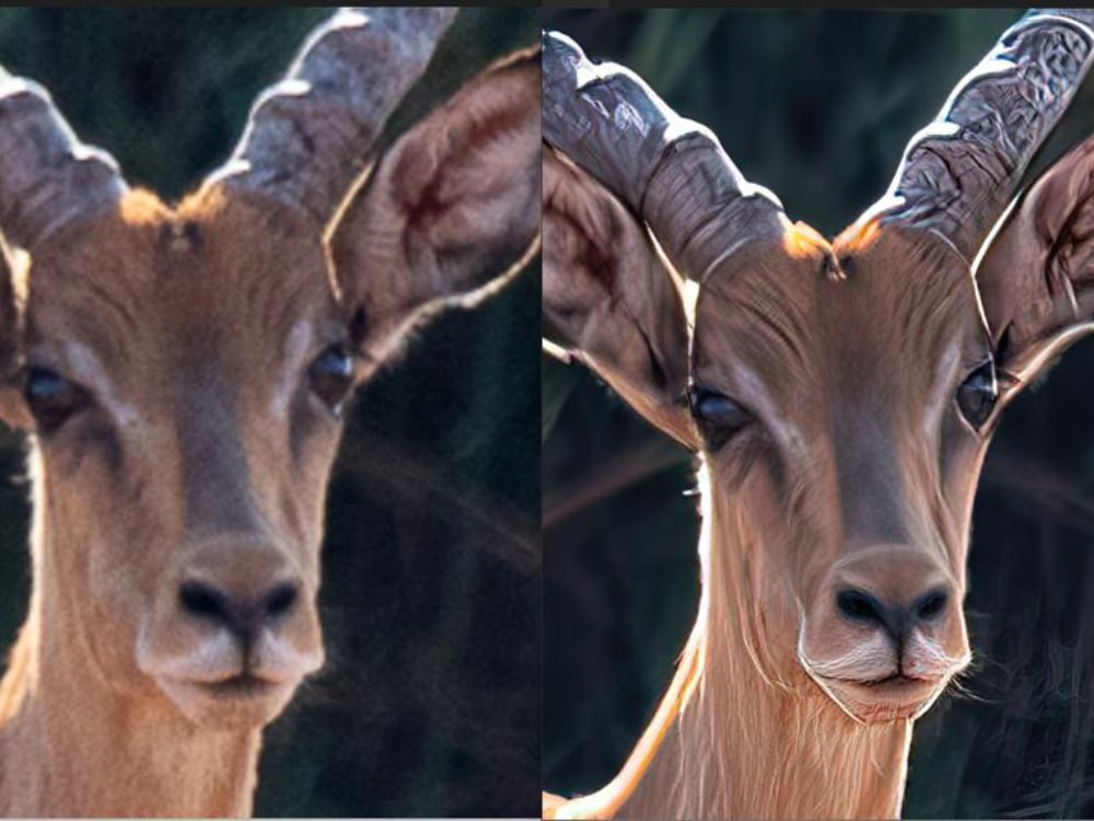 Stunningly upscaled images with precision and details | Upwork