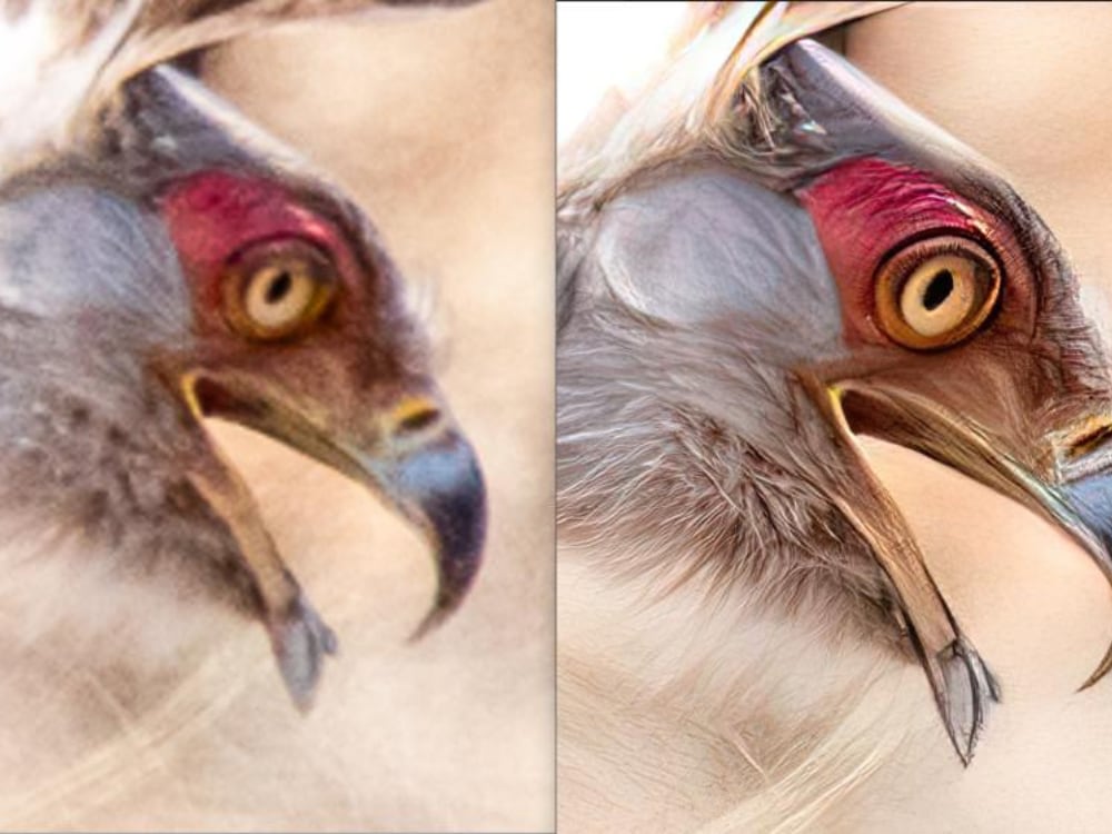 Stunningly upscaled images with precision and details | Upwork