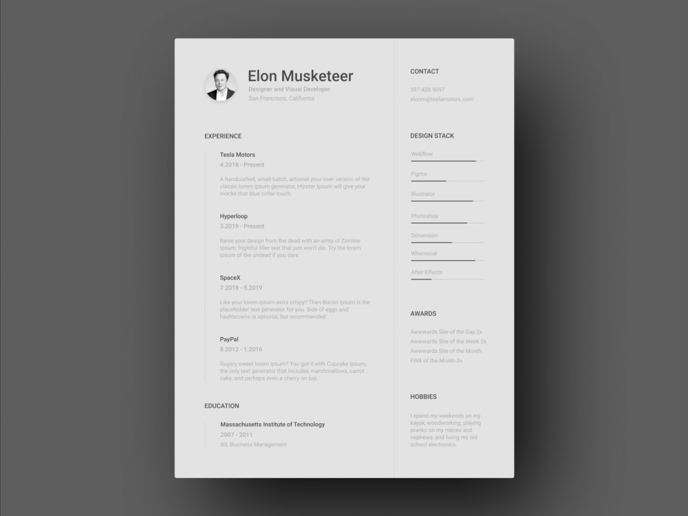 Eye catching curriculum vitae, cv templates, and resume design ...