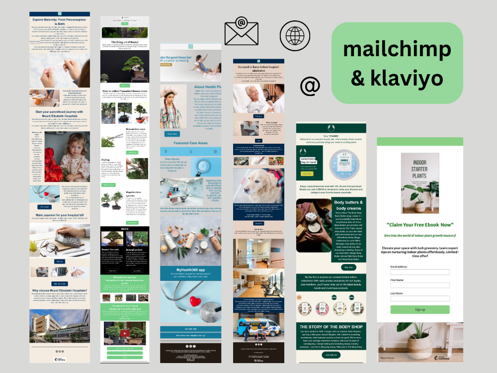 An editable and custom mailchimp email template/newsletter. | Upwork