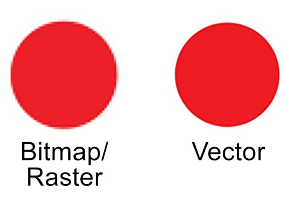 Edit images from raster to vector high quality | Upwork