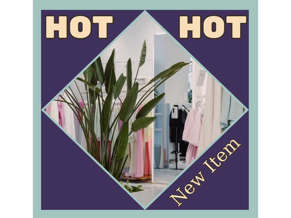 Unique & engaging social media (square) editable Canva Templates | Upwork