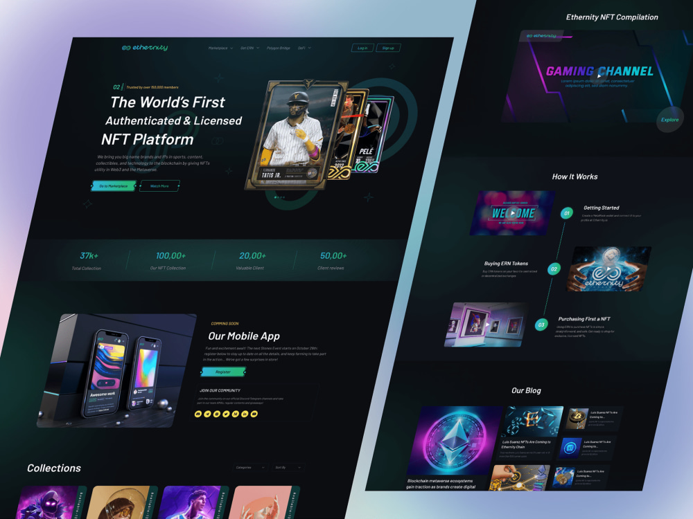 Web Developer Expert | WordPress Expert | Custom Theme Development | Upwork