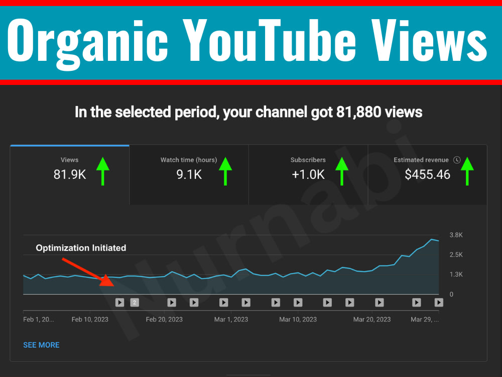 Organic USA/UK YouTube video views and video Promotion, USA youtube views | Upwork