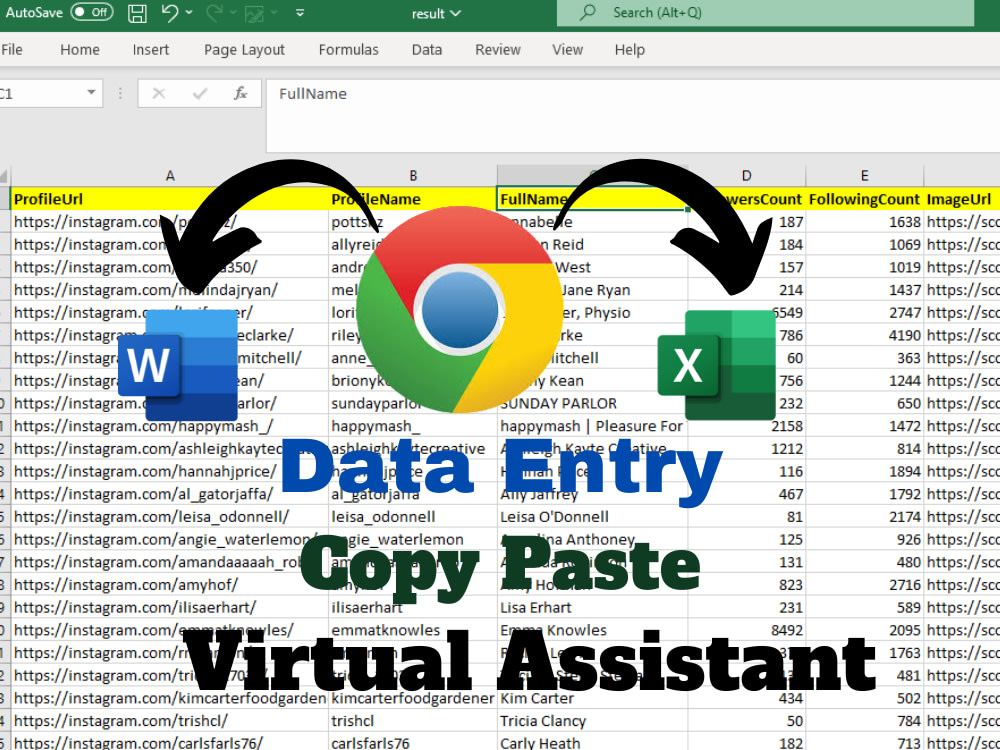 Fastest data entry,copy paste,web research to excel/word | Upwork