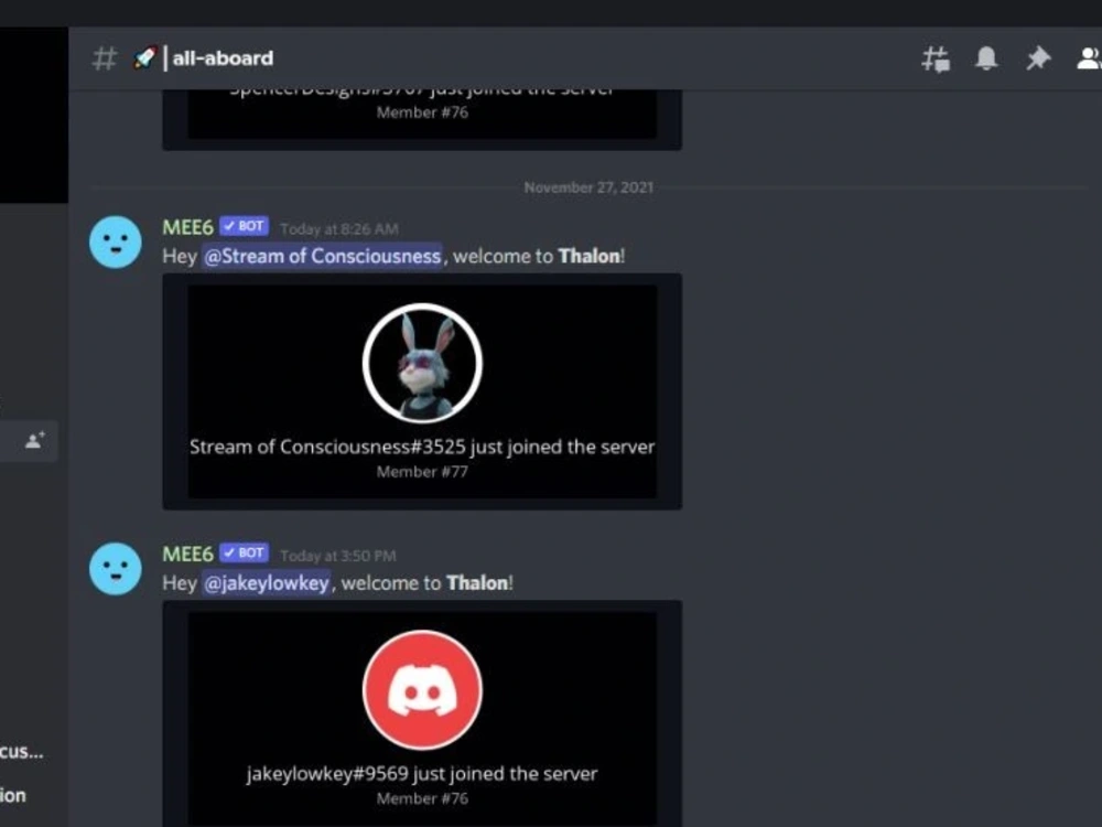 Fully customized NFT Discord Server | Upwork