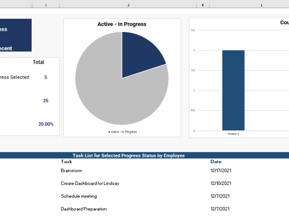 A Professional, Interactive Excel Visualization Dashboard | Upwork